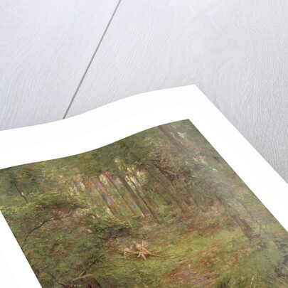 What the Little Girl Saw in the Bush, 1904 posters & prints by ...