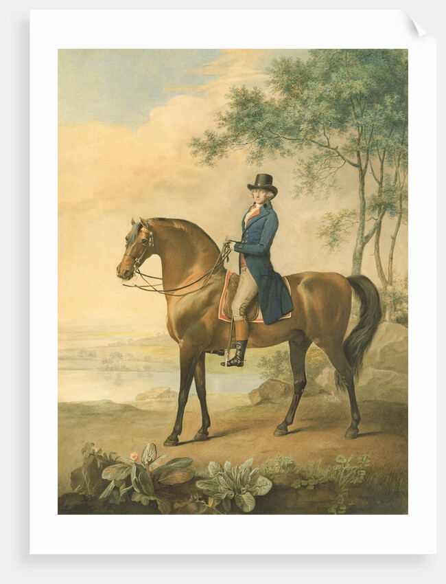 Warren Hastings on his Arabian Horse, 1796 posters & prints by George ...