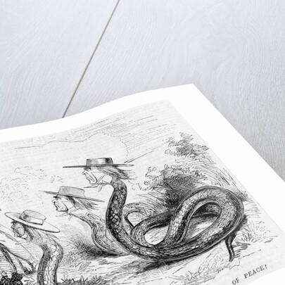 The Copperhead Party-In Favor of a Vigorous Prosecution of Peace ...