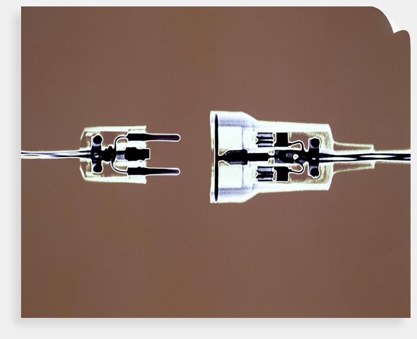 Cross-section of Electrical Plug posters & prints by Corbis