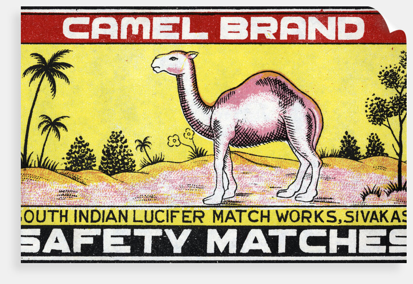 Camel Brand Indian Matchbox Label posters & prints by Corbis