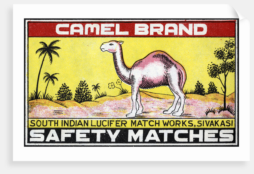 Camel Brand Indian Matchbox Label posters & prints by Anonymous