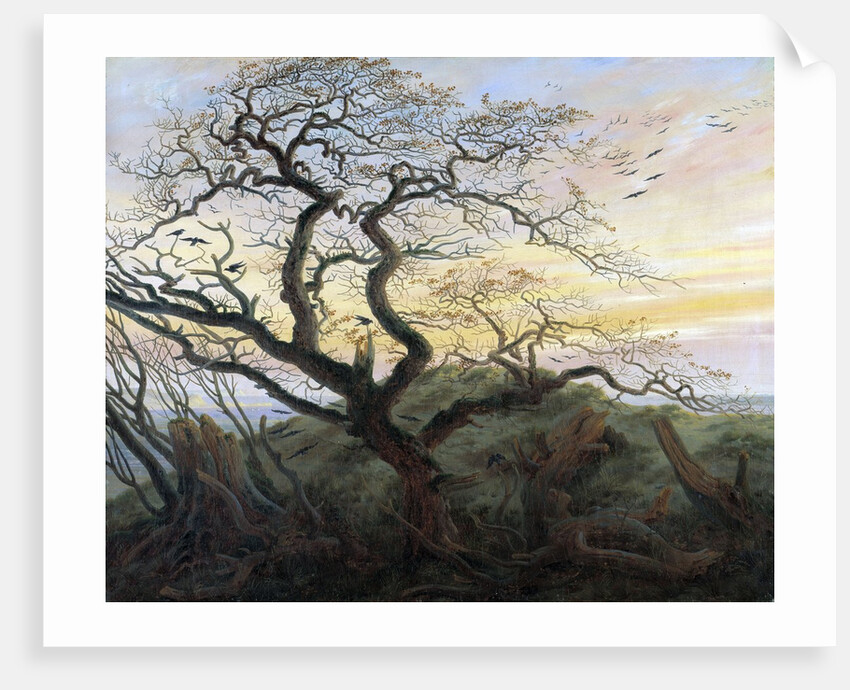 The Tree of Crows posters & prints by Caspar David Friedrich