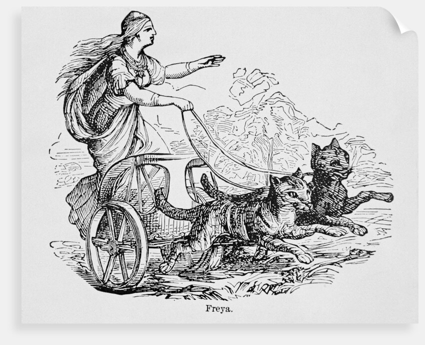Freya Riding Chariot Driven by Cats posters & prints by Corbis