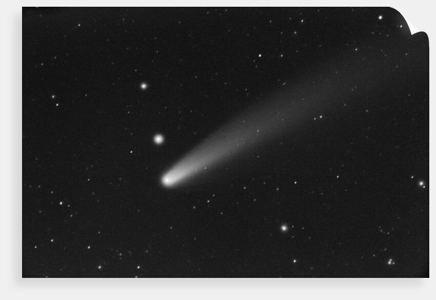 Comet Bennett posters & prints by Corbis