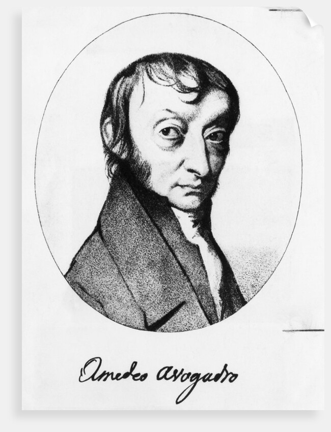 Portrait of Count Amedeo Avogadro posters & prints by Corbis