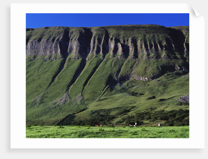 Ben Bulben posters & prints by Anonymous