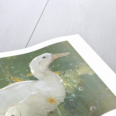 The White Drake posters & prints by Joseph Crawhall