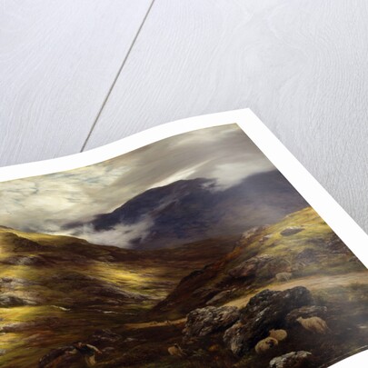 Wandering Shadows posters & prints by Peter Graham
