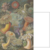 'Actiniae' [sea anemones] posters & prints by Adolf Giltsch